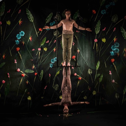 Hire / Book Spider Themed & Dou Contortionist - Delia | Contraband Events