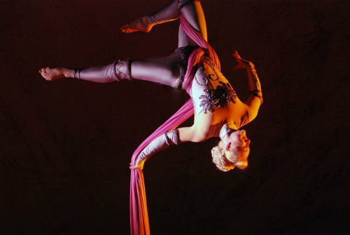 Hire / Book Aerial Acts & Aerial Performers | Contraband Events