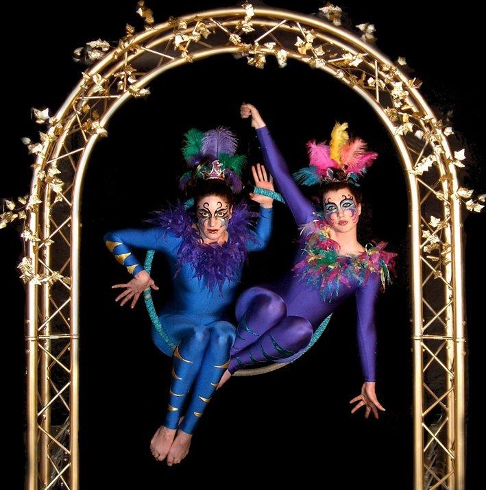 Booking agent for The Birdcage - Free Standing Aerial Hoop | Contraband ...