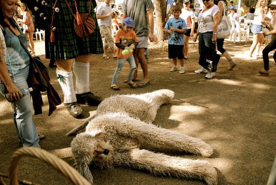 Hire / Book Scottish Themed Stilt Walkers - Big Rory, Ochie the Dog ...