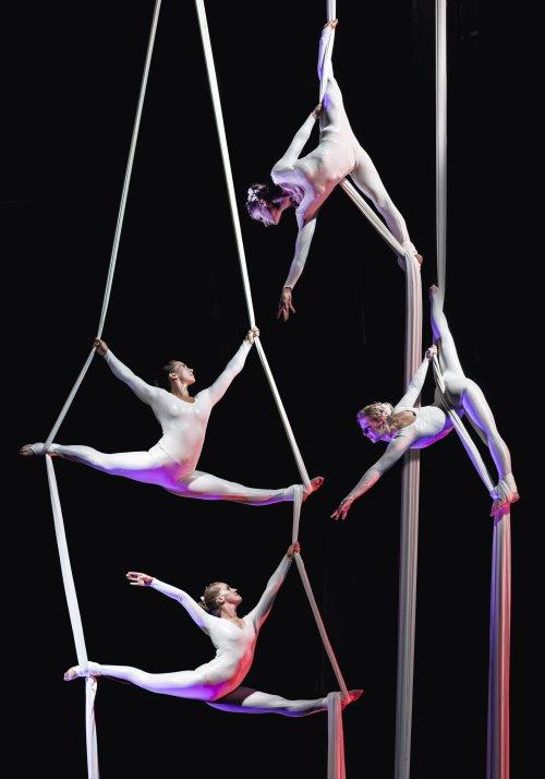 Booking agent for Aerial Silks Acrobats - Aerial Acts & Aerial ...
