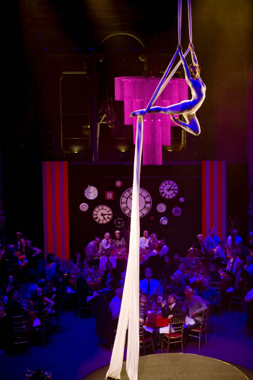 Hire / Book Sparkling Diamond Show – Aerialist & LED Ballerinas ...